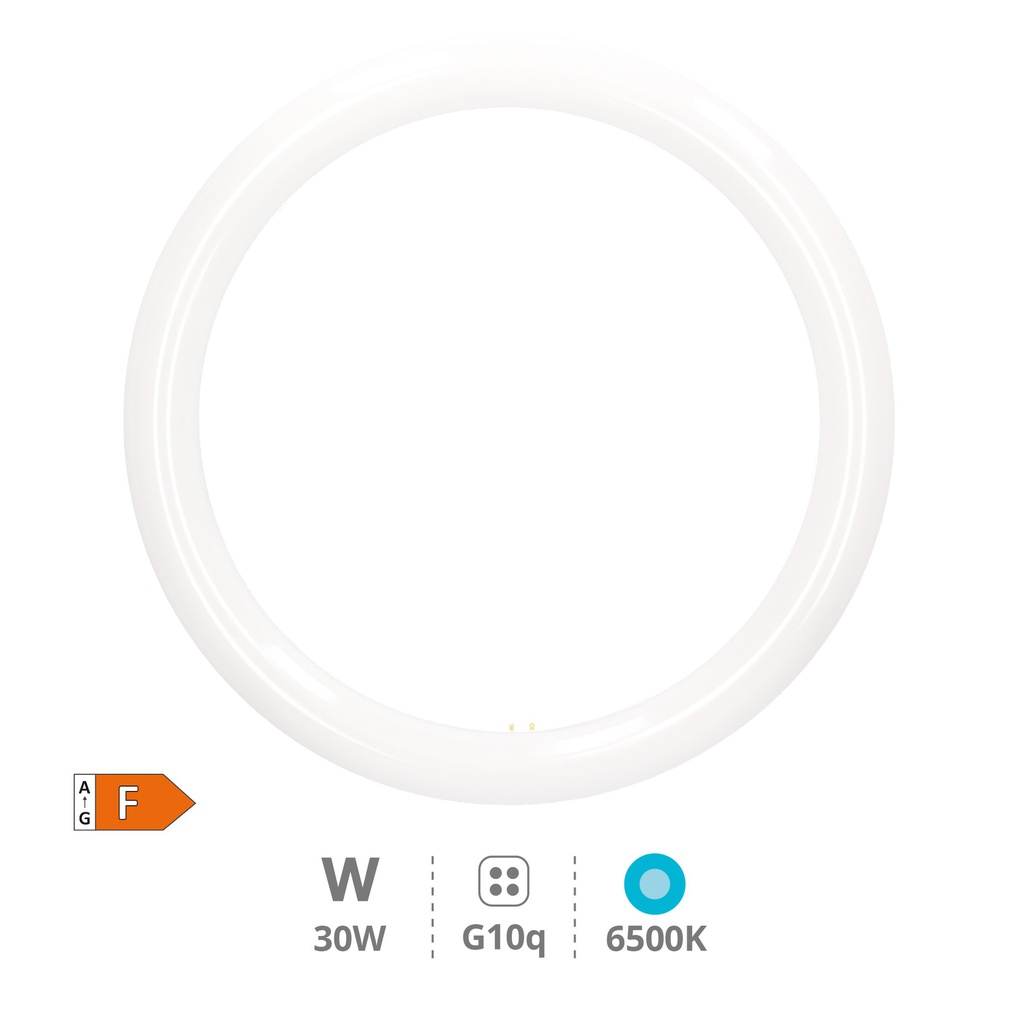 Tubo circular LED Lisala 30W G10q 6500K | Garsaco